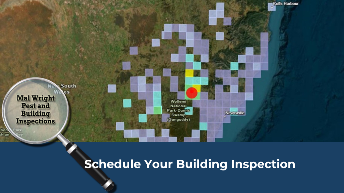 Building Inspections After an Earthquake in the Hunter Valley